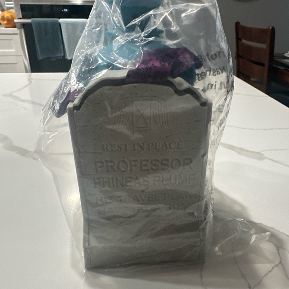 Disney | Accessories | Disney Parks Haunted Mansion 5th Popcorn Bucket ...